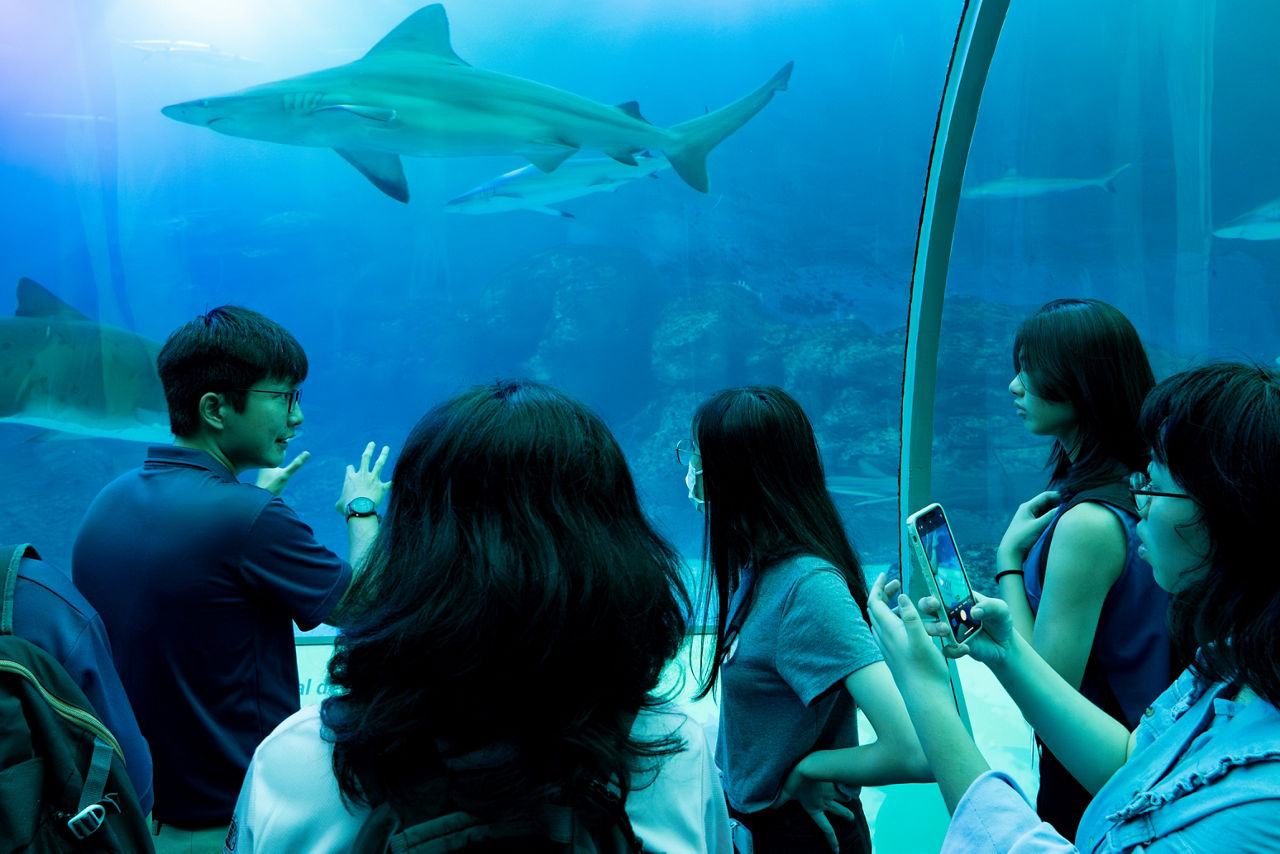 Map | Singapore Oceanarium