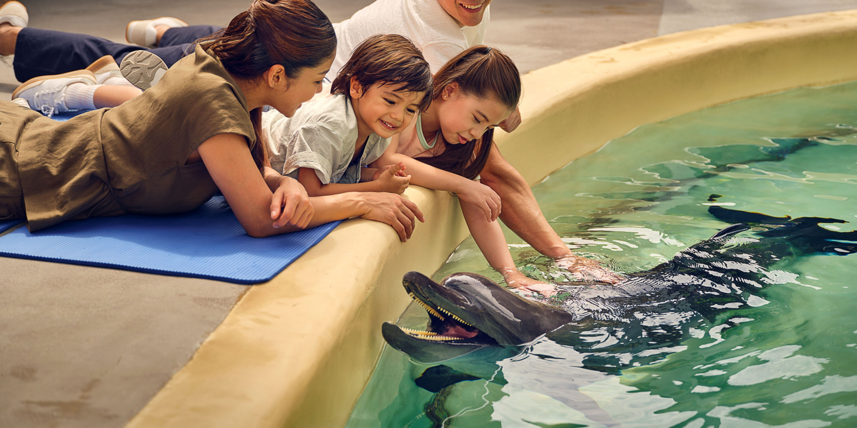 Dolphin Exploration | Singapore Oceanarium