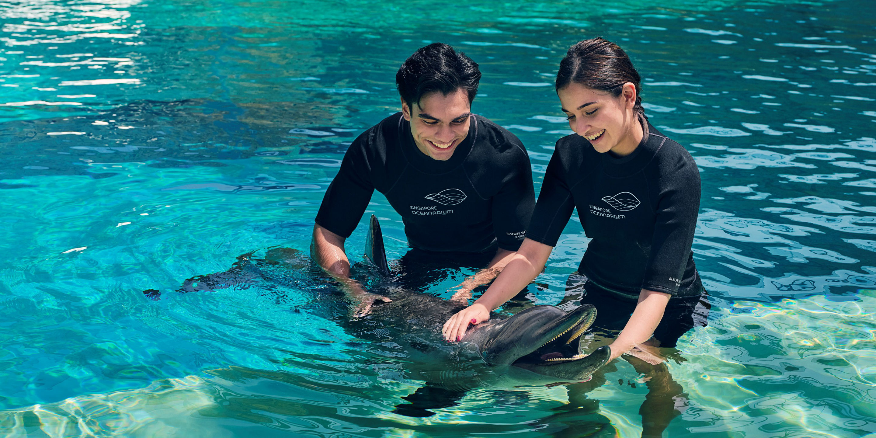 Dolphin Immersion | Singapore Oceanarium