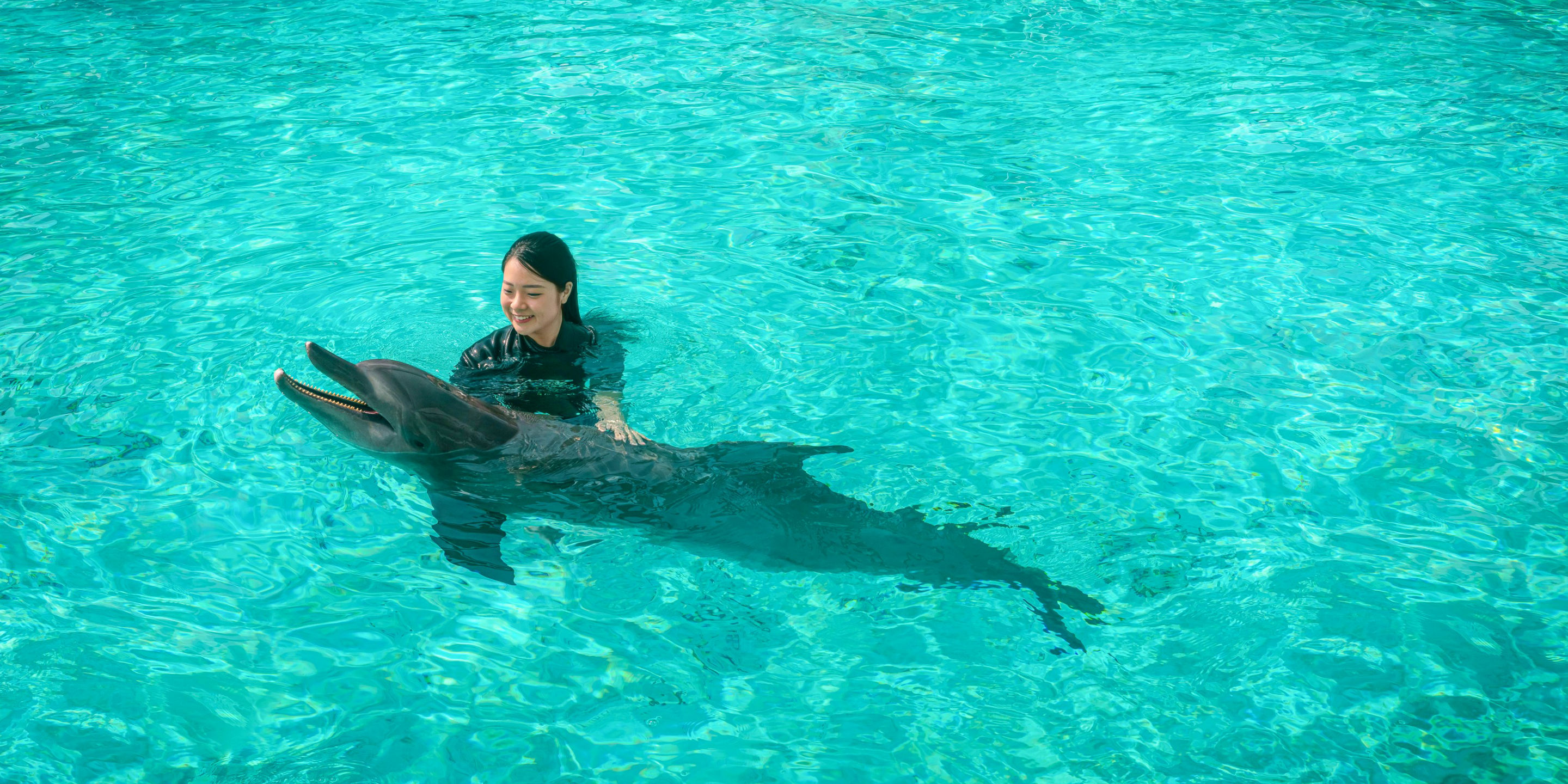 Dolphin Insider Experience | Singapore Oceanarium
