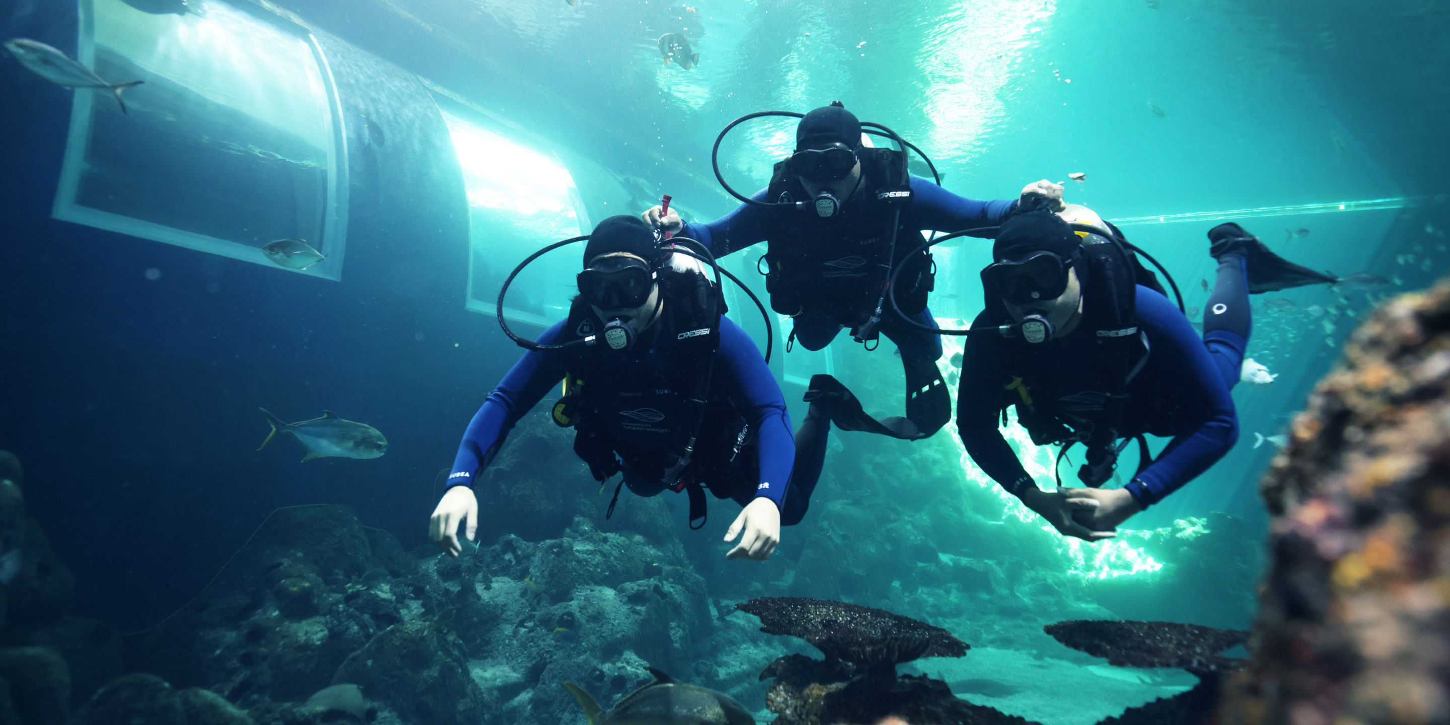 PADI Discover Scuba Diving Programme | Singapore Oceanarium