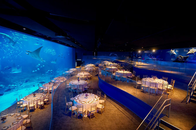 Plan Your Events | Singapore Oceanarium