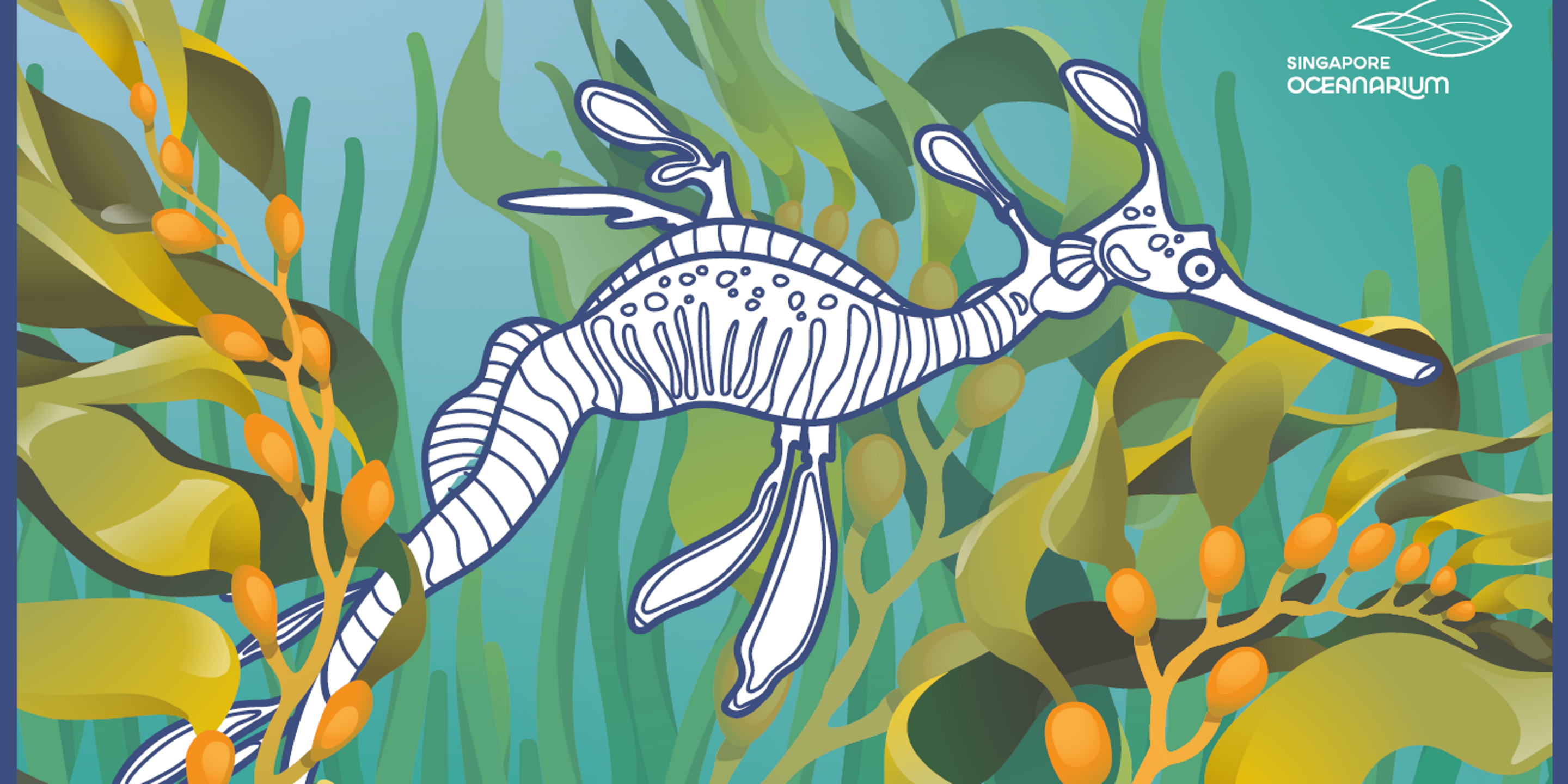 Colours of the Ocean | Singapore Oceanarium