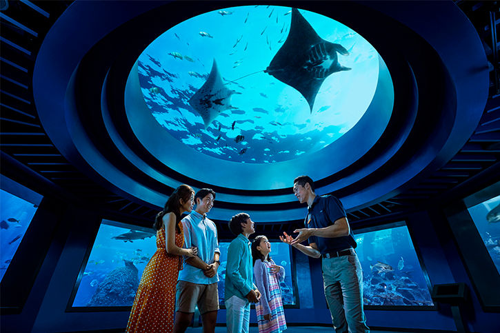 About Us | Singapore Oceanarium