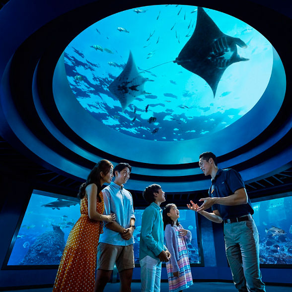 Welcome to Singapore Oceanarium | Singapore Oceanarium