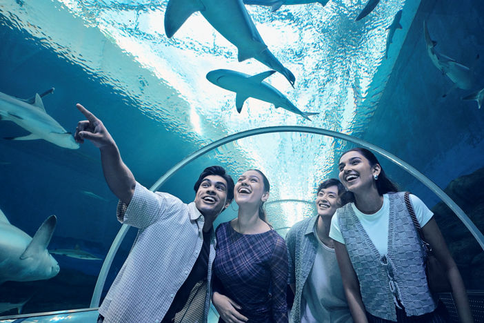 Tides of Change: How Youth are Shaping Our Ocean’s Future | Singapore ...